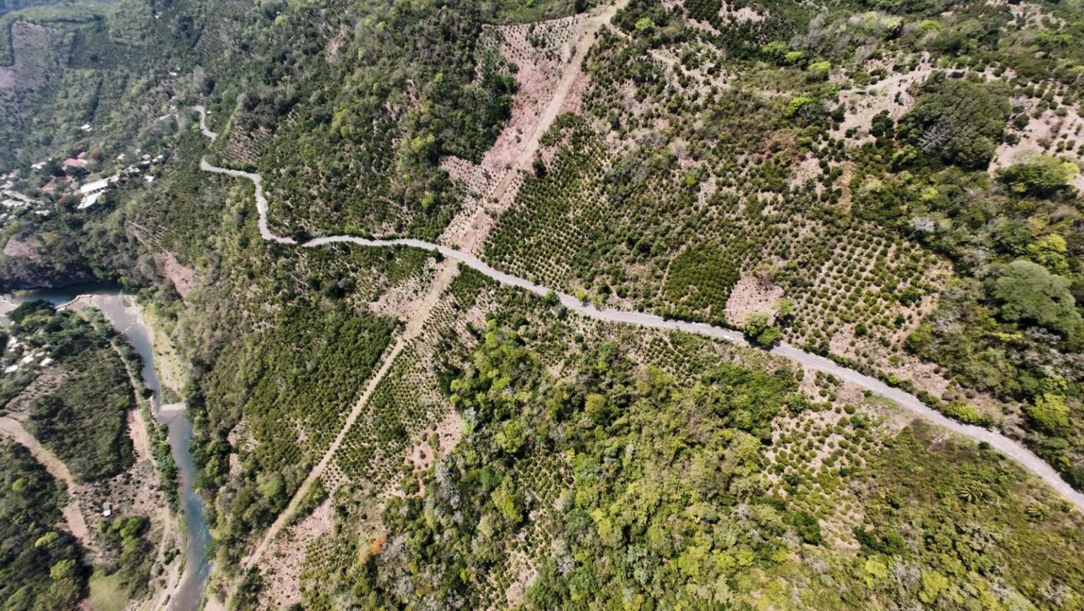 Regularización de predios de Ferronales busca justicia territorial ...